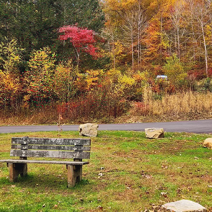 The perfect thinking spot. This weathered bench has hosted countless contemplations beneath the technicolor canopy of fall.