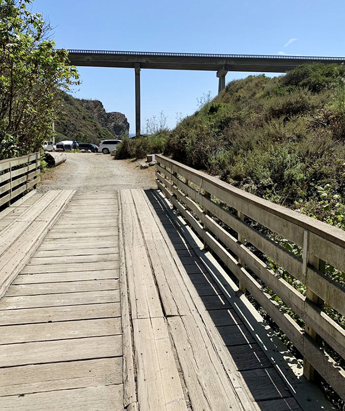 A wooden bridge leading to possibilities &ndash; or at least to the other side of the creek without wet socks.