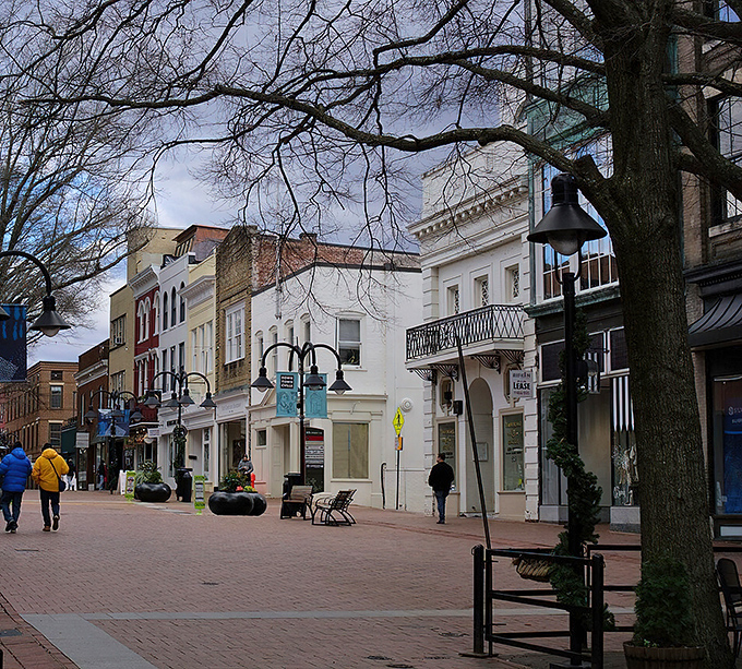 Charlottesville's Downtown Mall invites you to stroll, shop, and people-watch. Brick pathways and leafy trees create the perfect setting for an unhurried afternoon adventure.