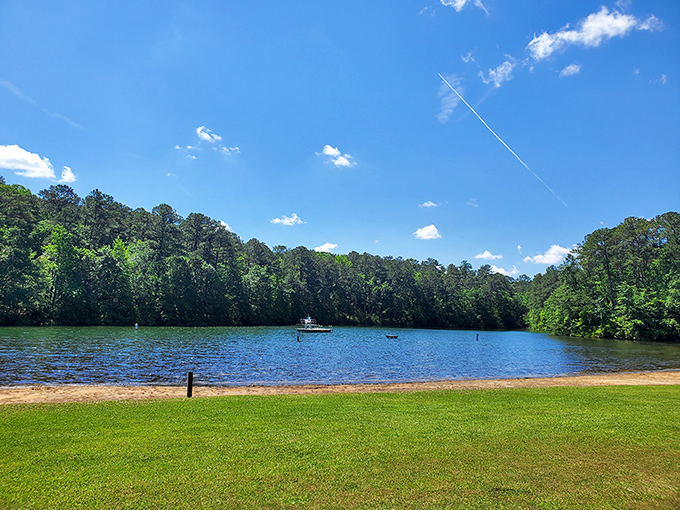 These colorful cliffs rise majestically above the Neuse River's gentle waters.