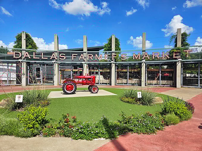 Farm to market magic! Dallas Farmers Market's iconic entrance celebrates agricultural heritage with vintage tractor charm.
