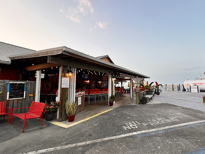 The Old Salty Dog's rustic charm and waterfront location create perfect grouper sandwich dining experiences.