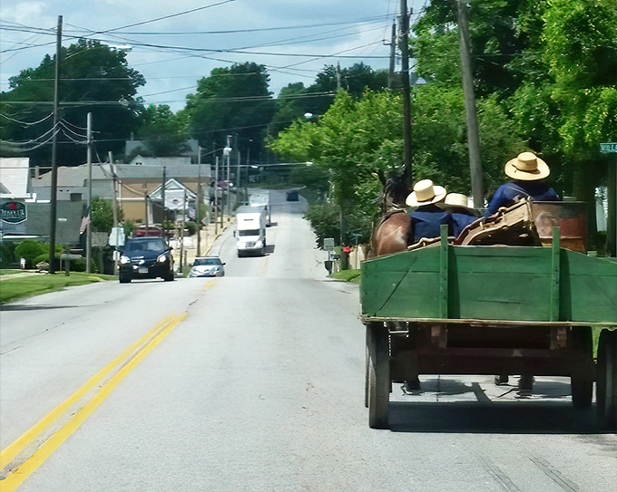 An Amish family travels by horse-drawn wagon through town. This everyday scene captures the essence of Ohio's Amish communities.