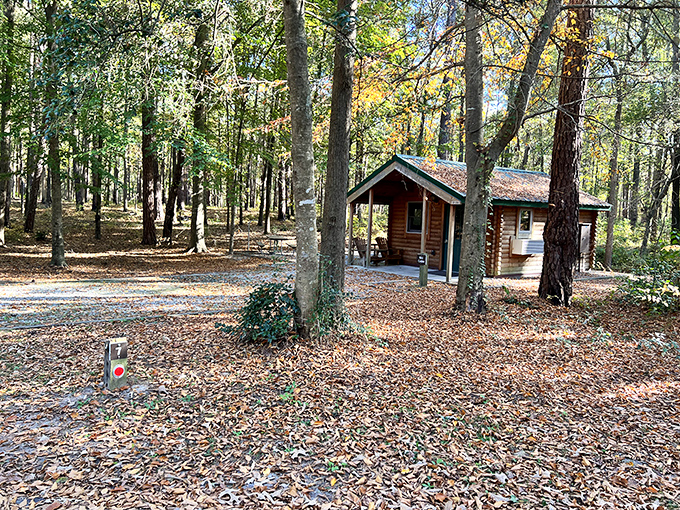 Cozy cabins nestle among towering pines, offering comfort after days of outdoor adventure.