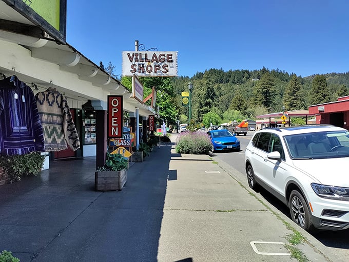 Redwoods stand sentinel around Guerneville, creating nature's cathedral where sunlight filters through in spotlight-worthy beams.