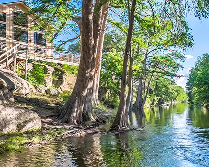 Cypress trees line the Frio River where families have floated and swum for more than a century now.