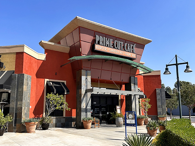 Sleek lines and bright colors signal this isn't your grandfather's steakhouse. Prime Cut brings contemporary flair without sacrificing meaty tradition.