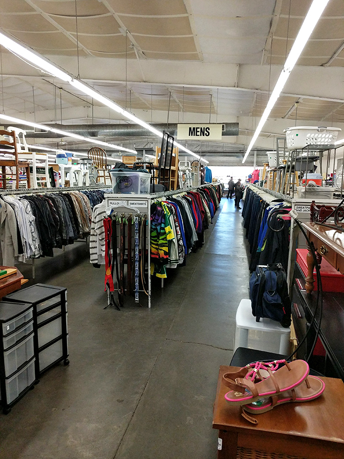 Aisles of possibility stretch before you in this thrifter's paradise, where every turn reveals potential new favorites.