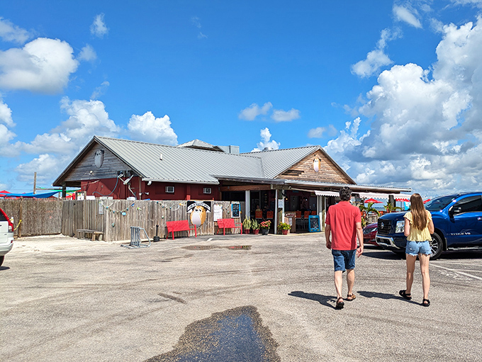 Sarasota's beloved landmark combines weathered wood character with fresh Gulf grouper that never disappoints.