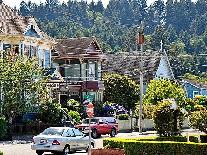 Residential streets reveal Victorian homes where bay windows and wraparound porches weren't luxury additions but standard features of everyday living.