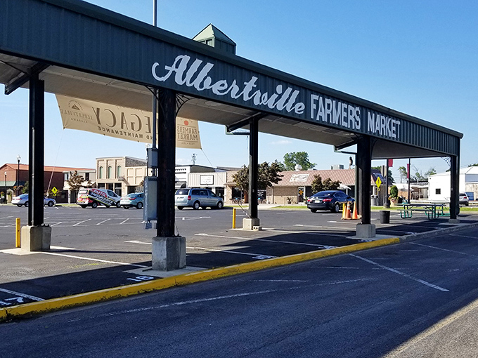 The Albertville Farmers Market pavilion stands ready for local vendors and fresh finds. Farm-to-table without the farm-to-wallet pricing.