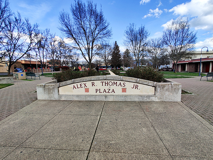 Alex R. Thomas Plaza serves as Ukiah's living room, hosting farmers markets and community gatherings with equal amounts of local produce and gossip.
