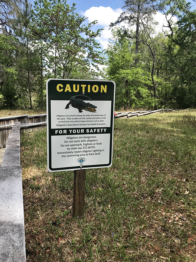 Florida's version of "Beware of Dog" &ndash; except this dog has considerably more teeth and significantly less interest in belly rubs.