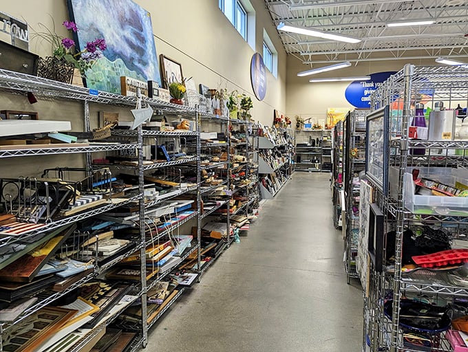 From art supplies to picture frames, this aisle offers creative possibilities at pennies on the dollar. One person's decluttering becomes another's craft project inspiration.
