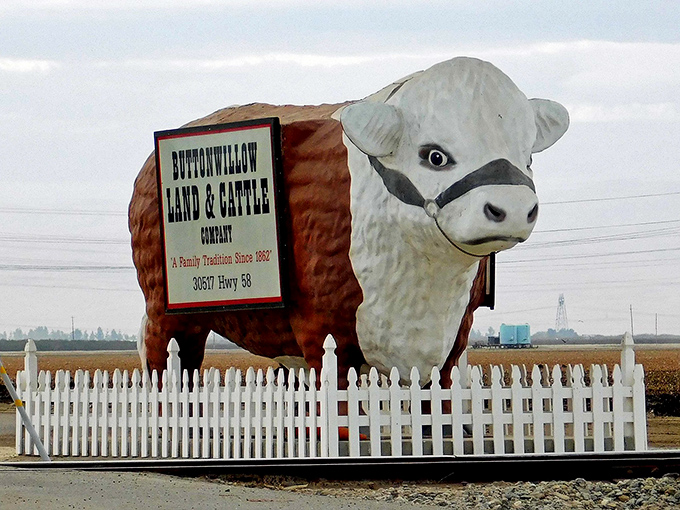 The classic side view that's launched a thousand road trip detours. Worth every mile of the drive to Buttonwillow.