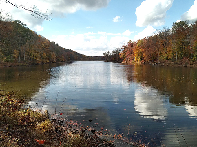 Mirror-like waters double the autumn splendor, creating a symmetry so perfect it feels like nature's showing off.