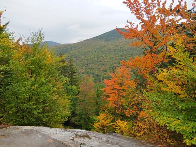Autumn's color explosion: Nature showing off its seasonal wardrobe change with the confidence of a runway model who knows they look good.
