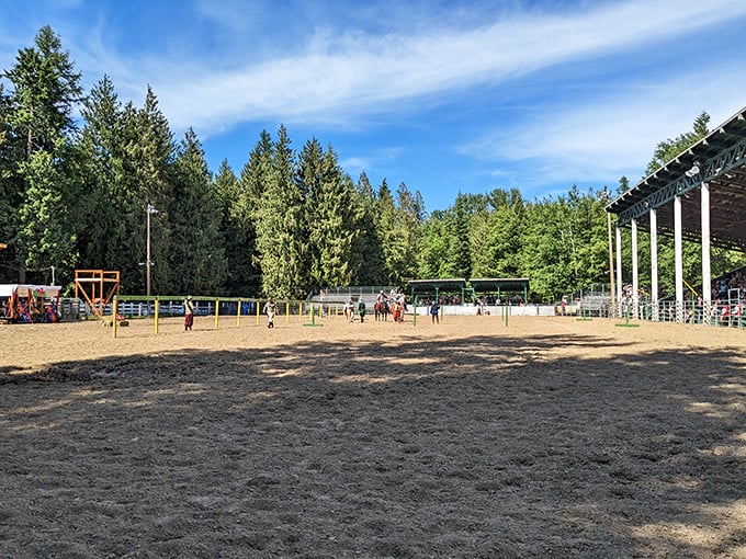 Sandy arenas host community events where locals gather to celebrate the traditions that bind small towns together through generations.