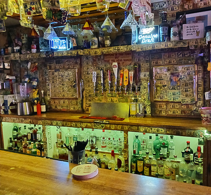 The bar where thirst goes to surrender. Dollar bills create the world's most expensive wallpaper while neon beer signs promise cold relief from desert heat.