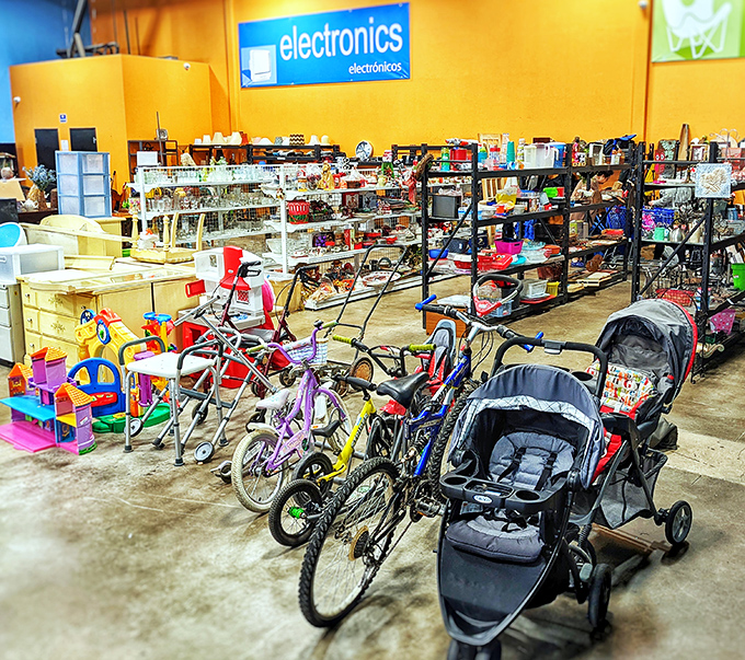 Bicycles and baby strollers await new adventures. These wheels once carried someone else's journey and now stand ready for yours—at a fraction of retail price.