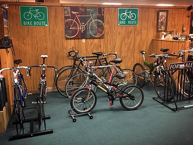 Vintage bicycles await new adventures, their classic lines and sturdy frames mocking today's carbon fiber contraptions with dignified steel silence.