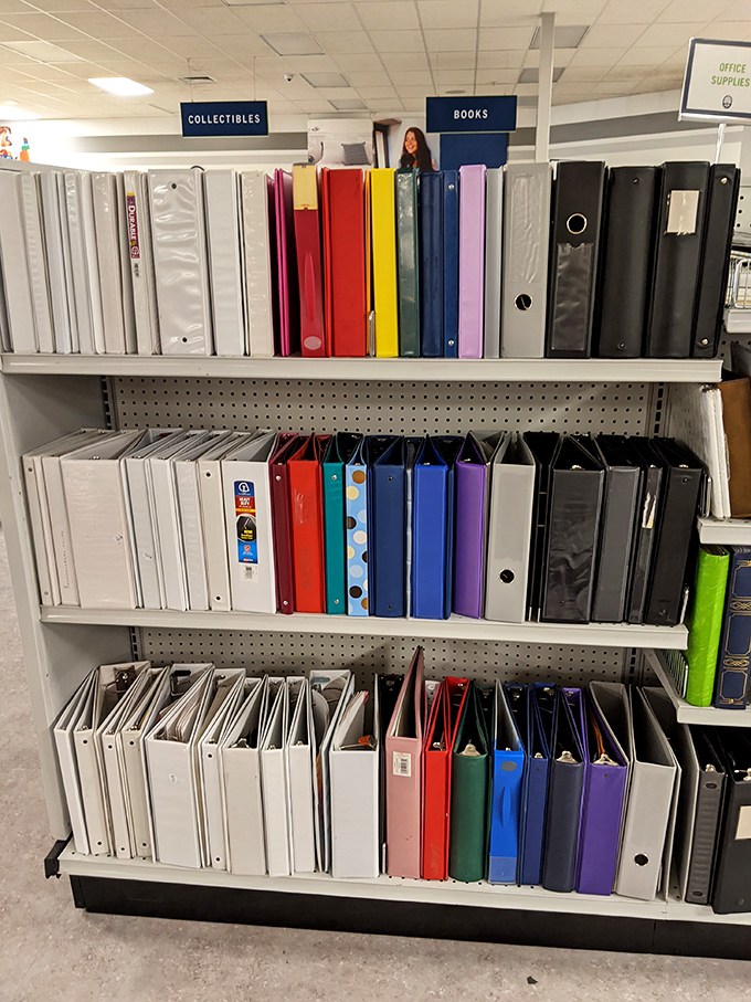 Office supply goldmine! These binders and folders stand at attention, ready to organize your life for pennies on the dollar.
