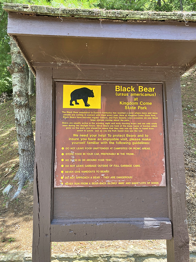 Bear necessities of park safety! This sign reminds us we're visitors in someone else's dining room&mdash;and nobody likes uninvited dinner guests.