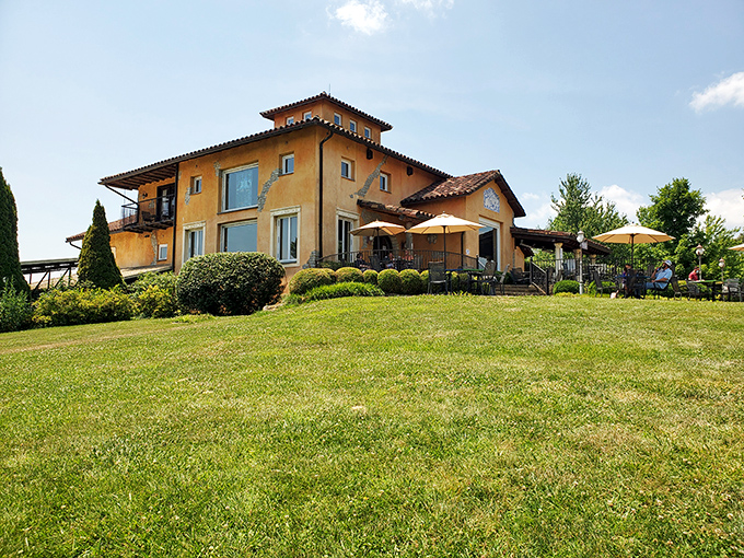 Blue Sky Vineyard brings a touch of Tuscany to southern Illinois, where the rolling hills rival any European countryside.