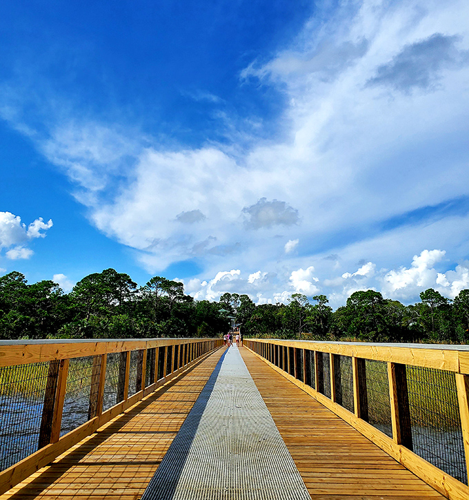 This boardwalk stretches toward possibilities – whether that's spotting wildlife or finding your own inner peace.