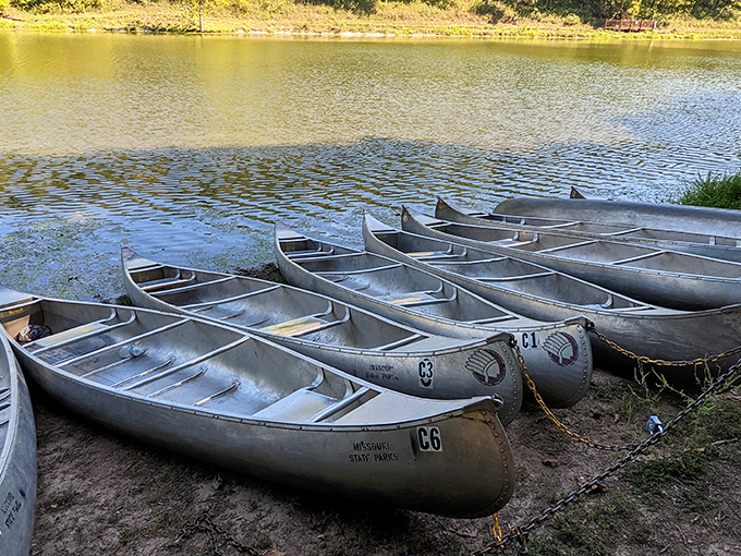 Canoe lineup! These aluminum vessels are your tickets to explore Lake Lincoln's hidden coves. Paddling experience recommended, sense of wonder required.