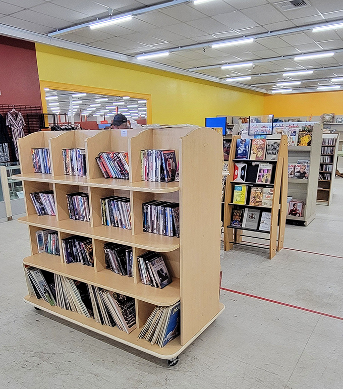 Books and media organized just enough to make browsing an adventure. Literary treasures hiding between forgotten celebrity memoirs.