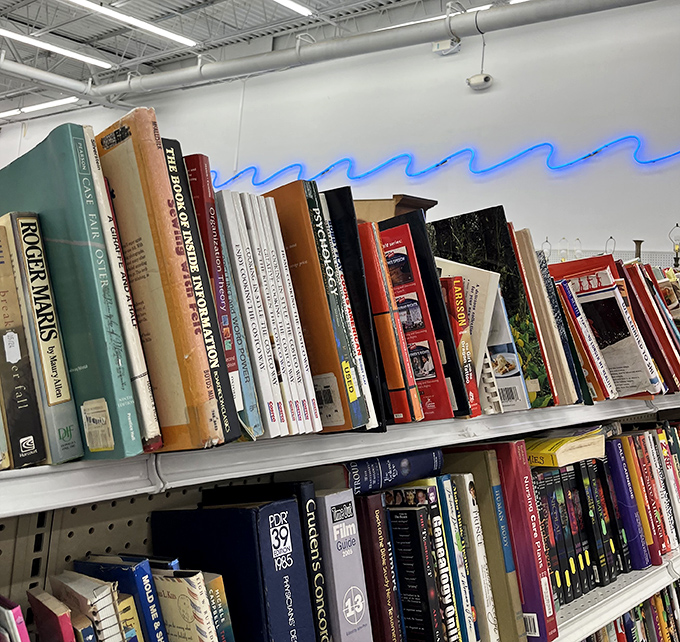 Bookworms rejoice! From cookbooks to classics, these shelves hold forgotten bestsellers and literary treasures at pocket-change prices.