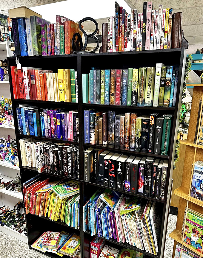 Books organized by color create a rainbow of literary possibilities. Each spine represents someone's favorite story looking for its next reader.