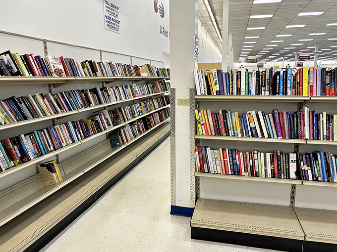 Literary heaven at paperback prices. These shelves have housed more stories than your local librarian could tell in a lifetime.