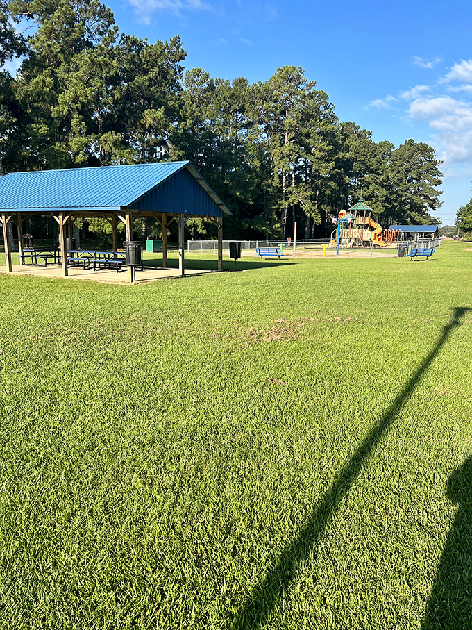City parks in Brookhaven offer shaded pavilions and wide-open green spaces. Perfect for everything from family reunions to contemplating your next meal.