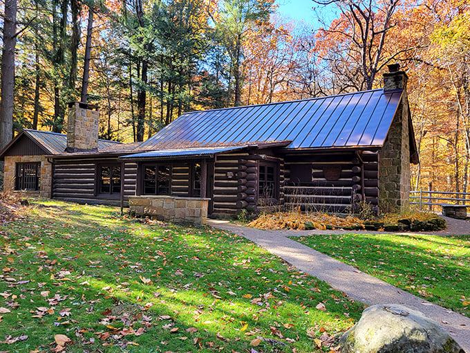 Another charming cabin that makes you wonder if you could simplify your life, ditch your smartphone, and just listen to the trees.