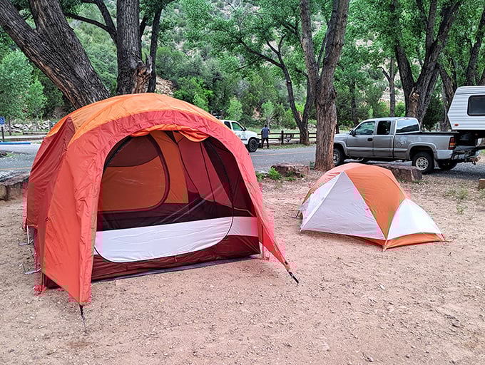 Camping here puts you close enough to nature without completely abandoning the comforts that make life bearable.