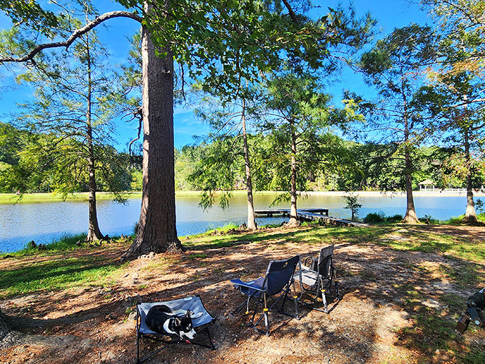 Camp chairs positioned for front-row seats to nature's greatest show &ndash; sunset over the lake, with occasional cameos by local wildlife.