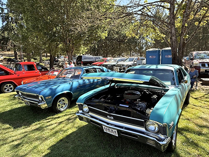 Classic cars gleam under Oregon sunshine during Brownsville's car show, where chrome and nostalgia fuel conversations between generations.