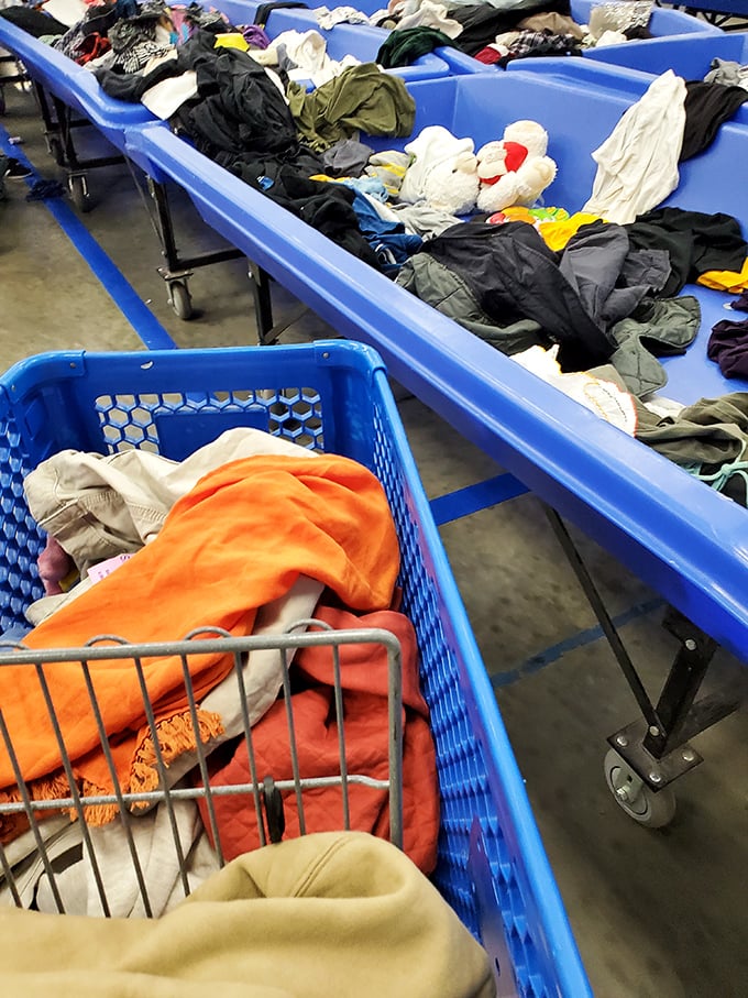 The shopping cart tells the story&mdash;already filling with orange and beige treasures while the bins behind promise more discoveries await.