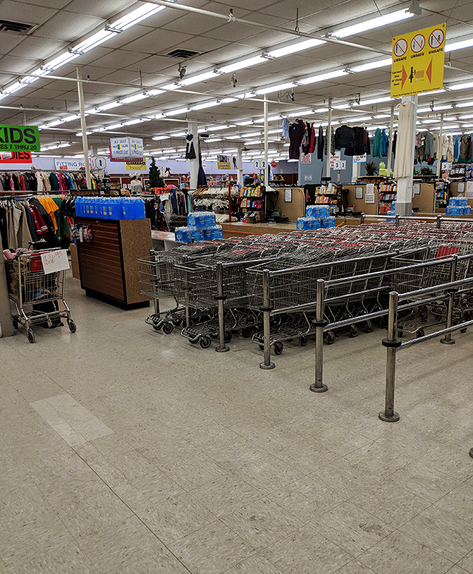 Shopping cart corrals and color-coded sections transform retail chaos into a surprisingly navigable treasure map.