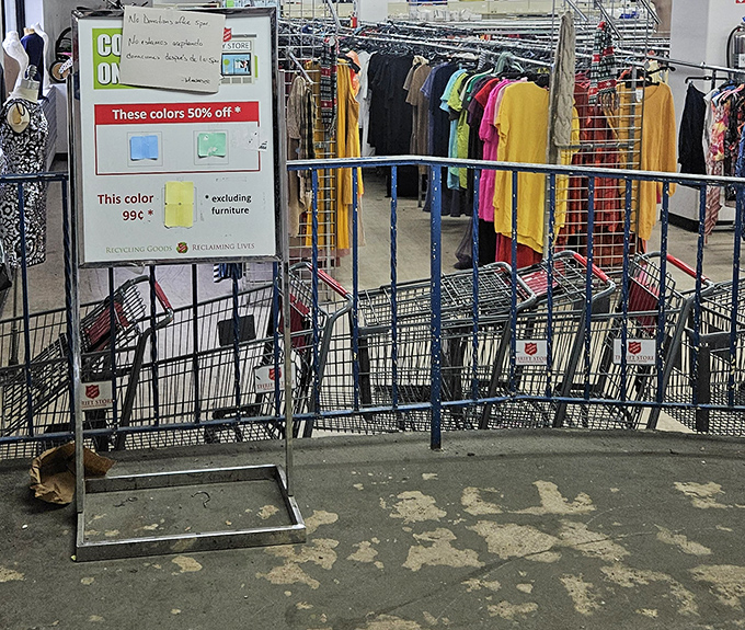 Shopping carts stand at attention, ready for their mission. These metal chariots will soon overflow with treasures at prices that defy inflation.