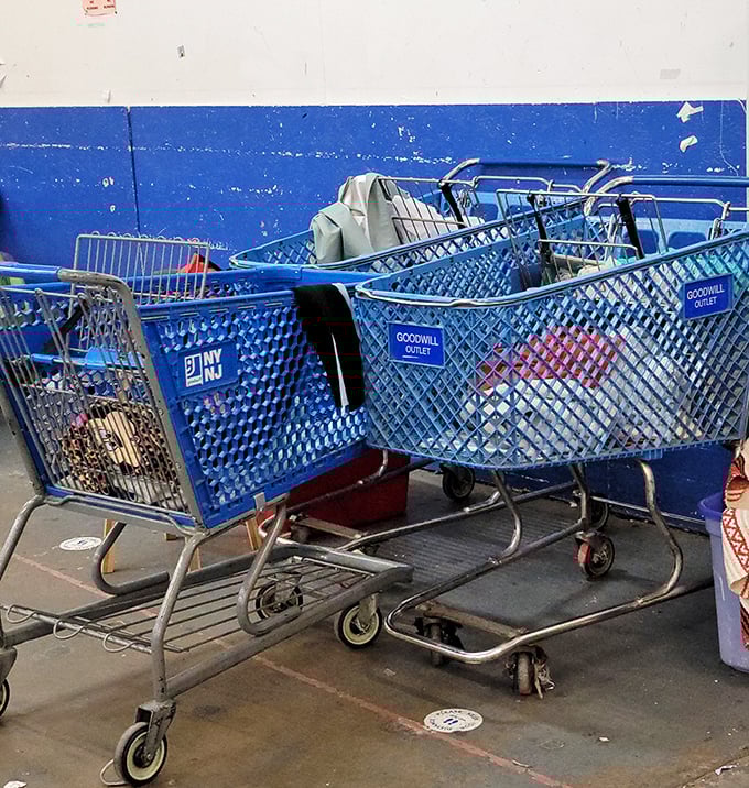The blue chariots of possibility. These carts will soon be filled with someone's newfound treasures and fashion resurrections.