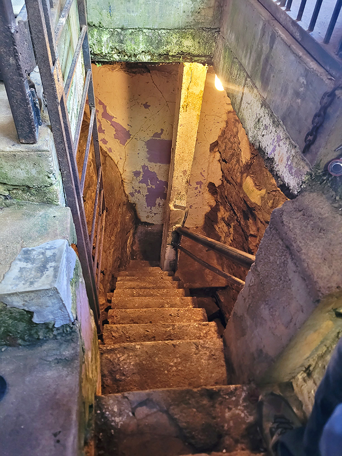 The stairway to another world begins here. What looks like a simple entrance conceals an underground universe of wonder.