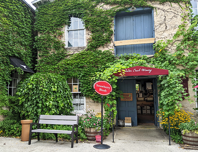 Ivy-covered buildings at Cedar Creek Winery prove that some things improve with age, unlike your smartphone's battery life.
