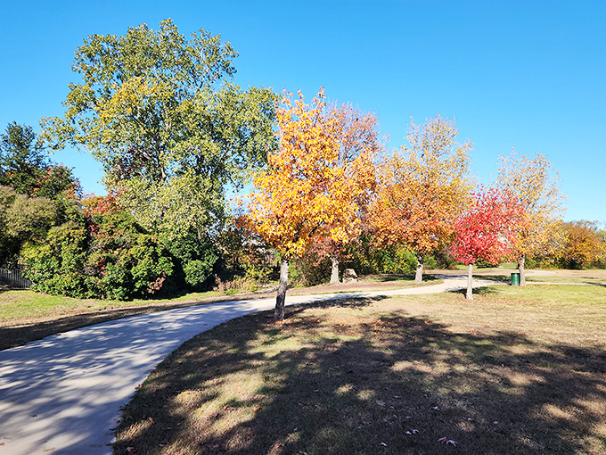 Fall paints Chapman Park in a palette that would make Bob Ross weep with joy. Nature's showing off, and we're all invited to the exhibition.