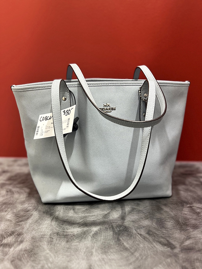 Designer bags without designer debt! This Coach tote proves luxury and budget-consciousness can peacefully coexist.