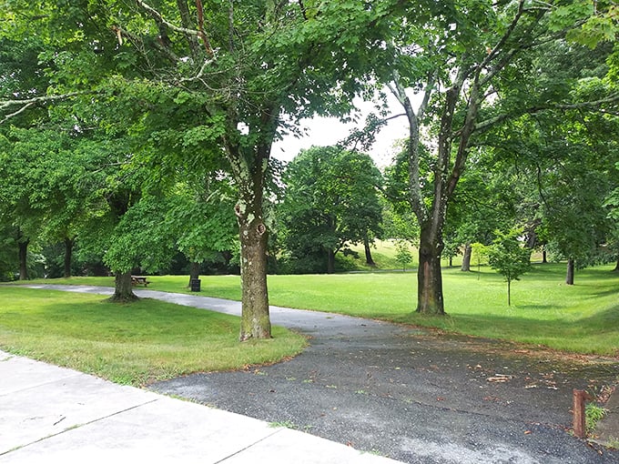 Cold Spring Park offers that increasingly rare commodity in modern life: simple green space where thoughts can wander as freely as footsteps.