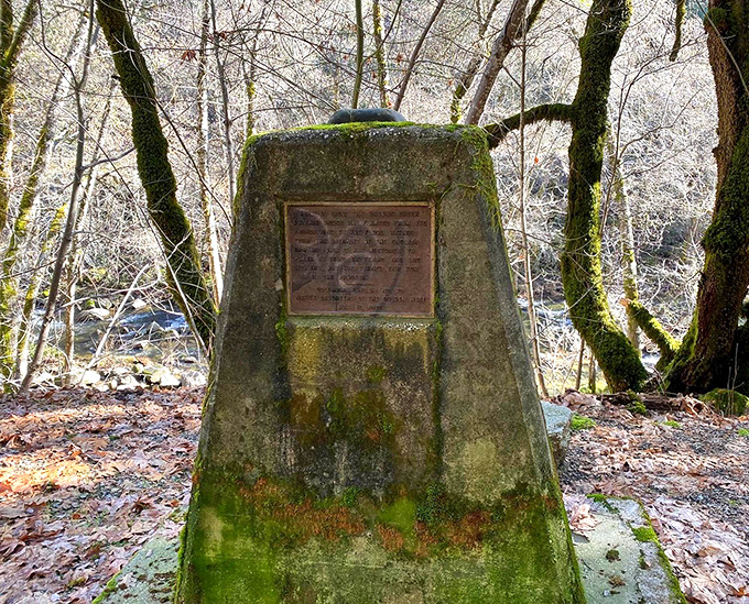 This moss-covered monument stands guard like a patient grandfather watching over his wooden charge.