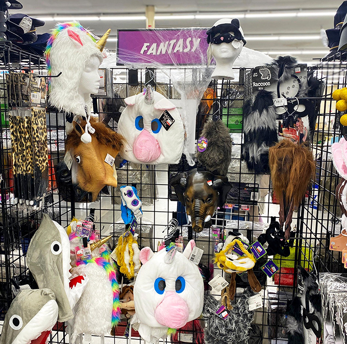 Halloween comes early with this menagerie of masks&mdash;unicorns, raccoons, and fantasy creatures for year-round dress-up.